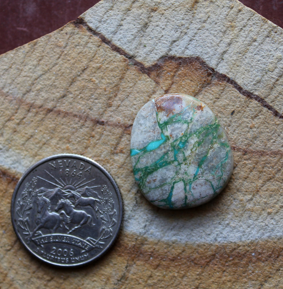 Natural Stone Mountain Turquoise – Nevada Cassidys