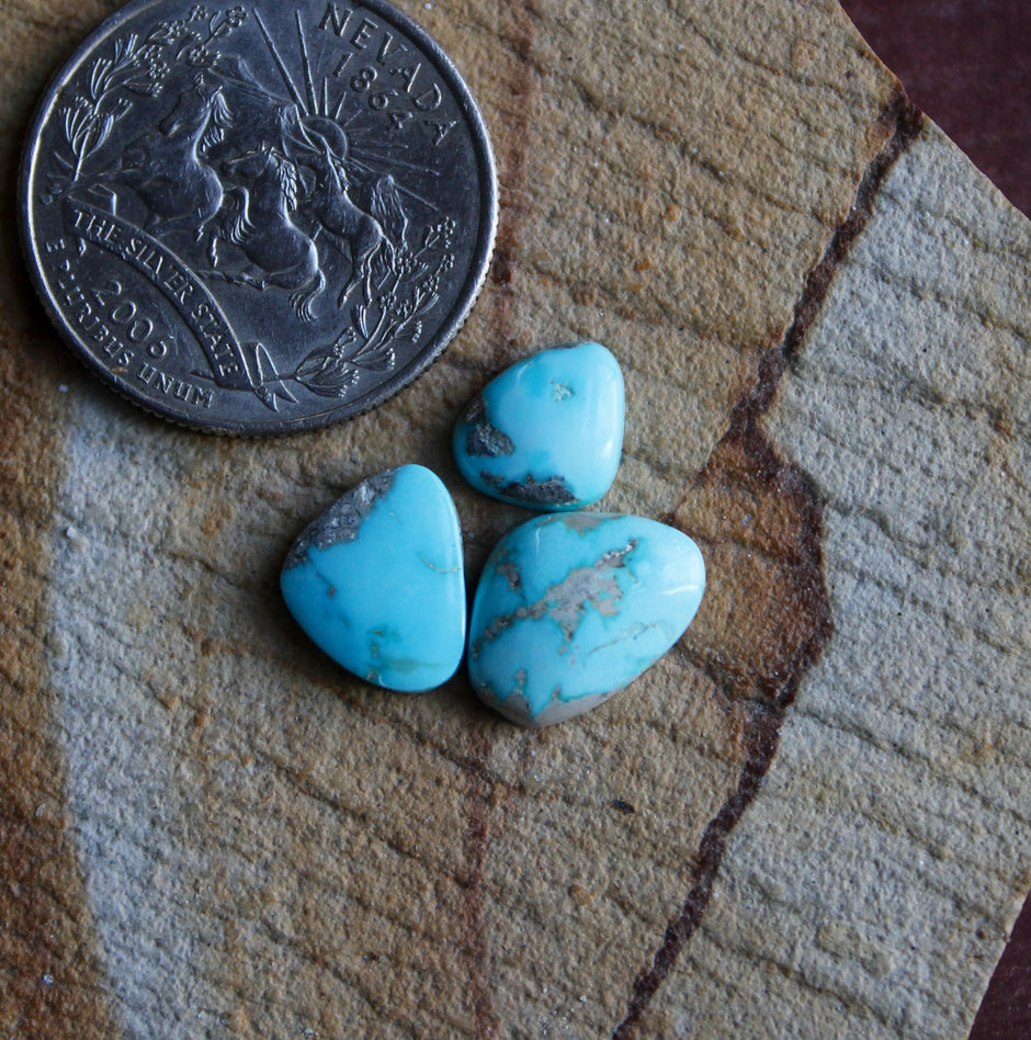 Nevada Cassidys for natural turquoise cabochons and gemstones