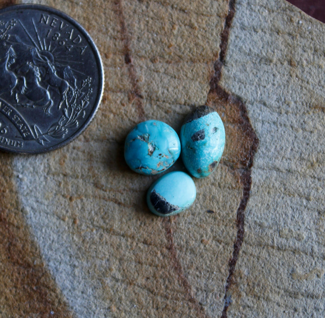 Nevada Cassidys for natural turquoise cabochons and gemstones