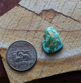 Natural Stone Mountain Turquoise – Nevada Cassidys